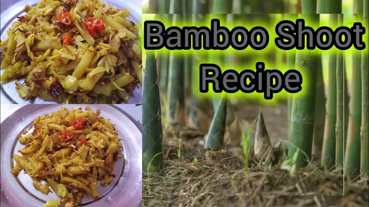 Bamboo Shoot Recipe #bamboo #bambooshoot #recipe #northeast recipe # ...