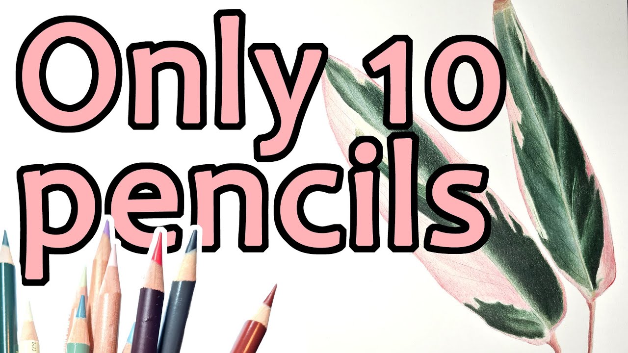 BOTANICAL ART - Drawing smooth leaves with colour pencil using only 10 ...