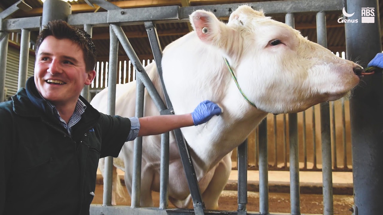 Genus Ruthin recruitment video - YouTube