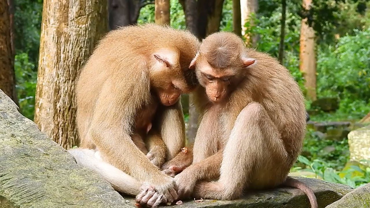 It is so nice time Liza relaxing with sister Libby and Rainbow - YouTube