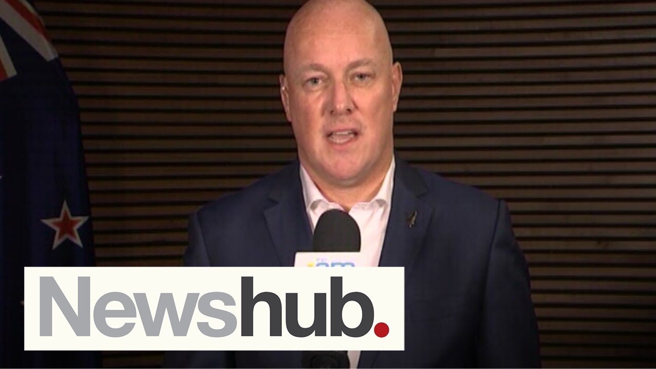 Meet the new leader of the National Party | Newshub - YouTube