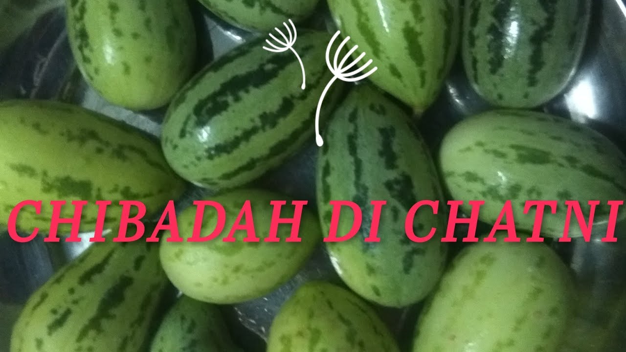 Khati mithi chibadah di chatni || GURVINDER KITCHEN - YouTube
