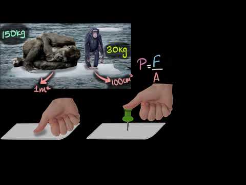 Ağırlığa Bağlı Basıncı Hesaplayalım (Fizik)