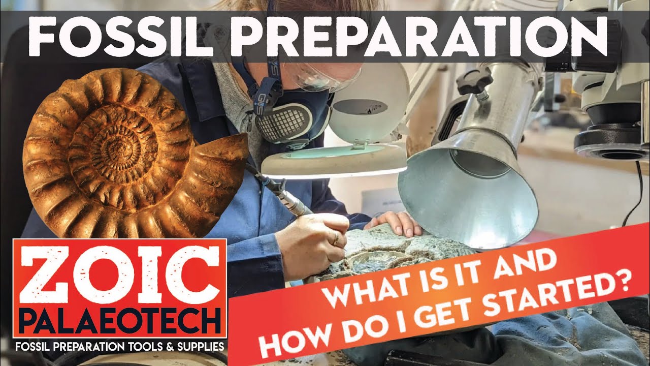 What is Fossil Preparation and how do I get started? - YouTube