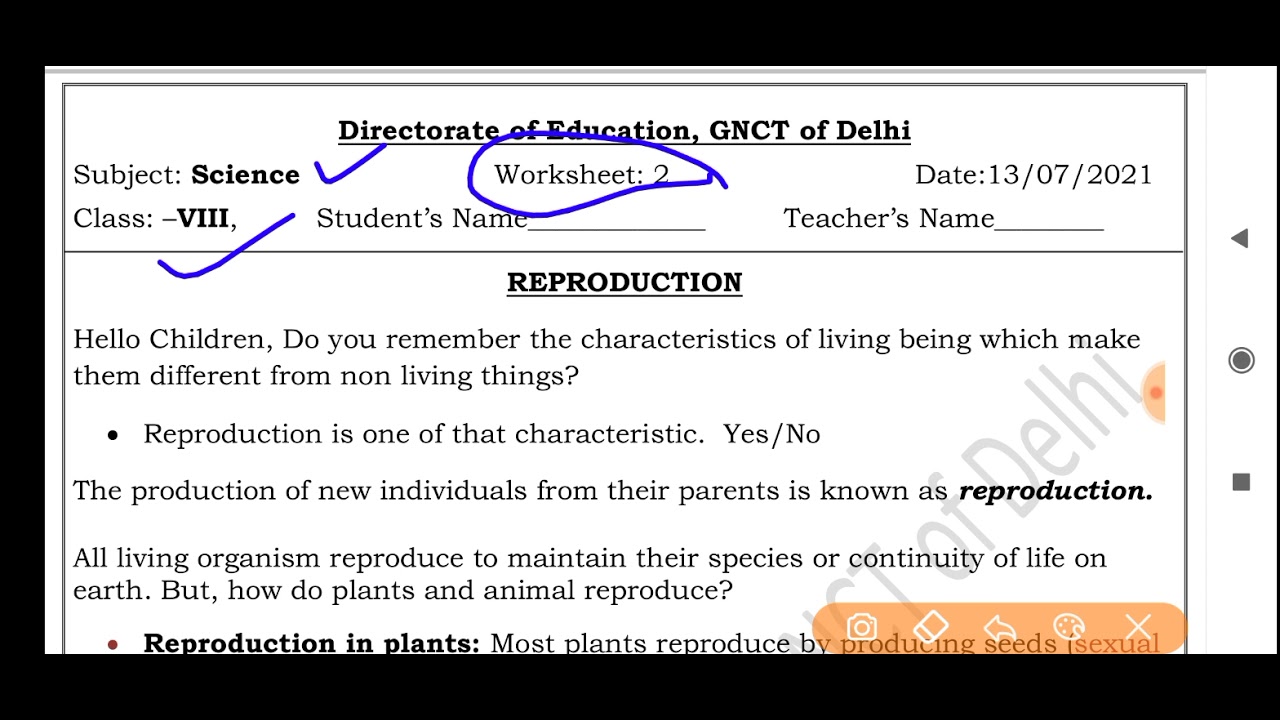 worksheet 2 science class 8 (13/7/21) English medium/ science worksheet ...