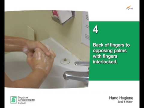 Hand Hygiene (Soap & Water) - YouTube