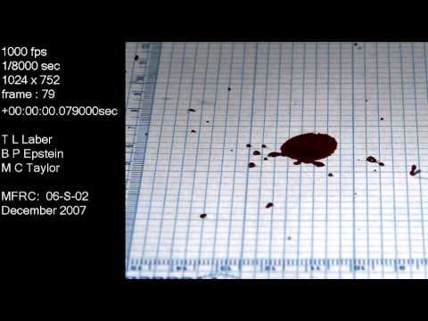 Blood drop falling 50 cm (1st of three drops) | Blood Spatter Analysis ...