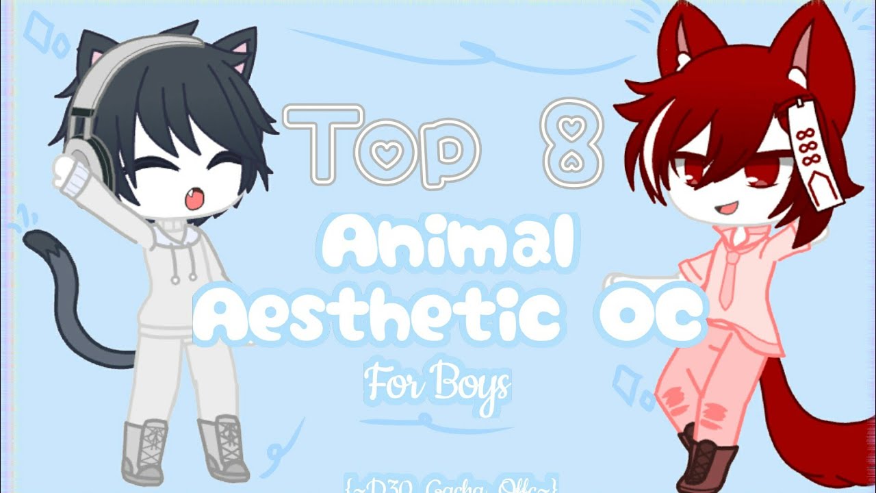 Part 2 | Top 8 Animal Aesthetics OC for Boys | - YouTube