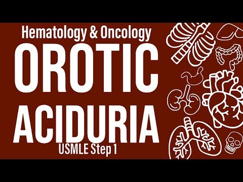 Orotic Aciduria (Heme/Onc) - USMLE Step 1
