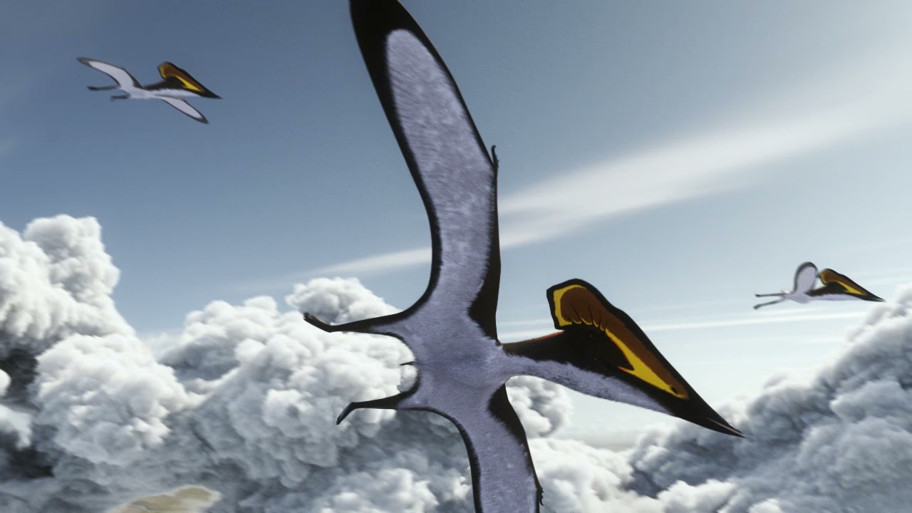 Flying with Pterosaurs - YouTube