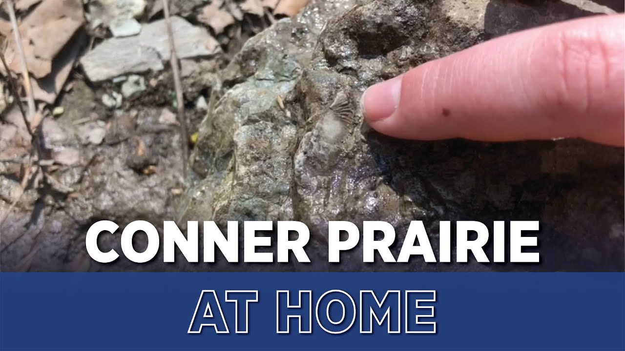 Conner Prairie - Animal Hike Activity - YouTube