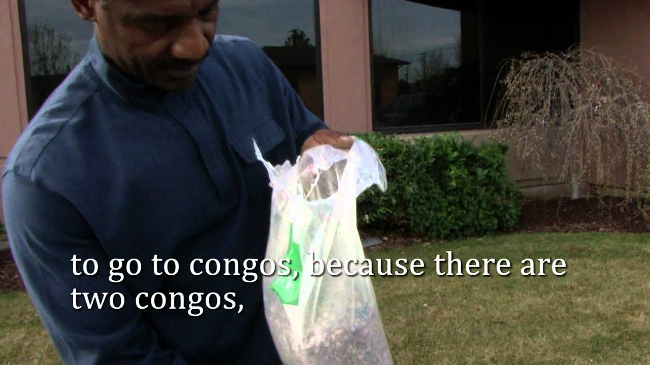 Congo Hydraid BioSand Water Filter Project - YouTube