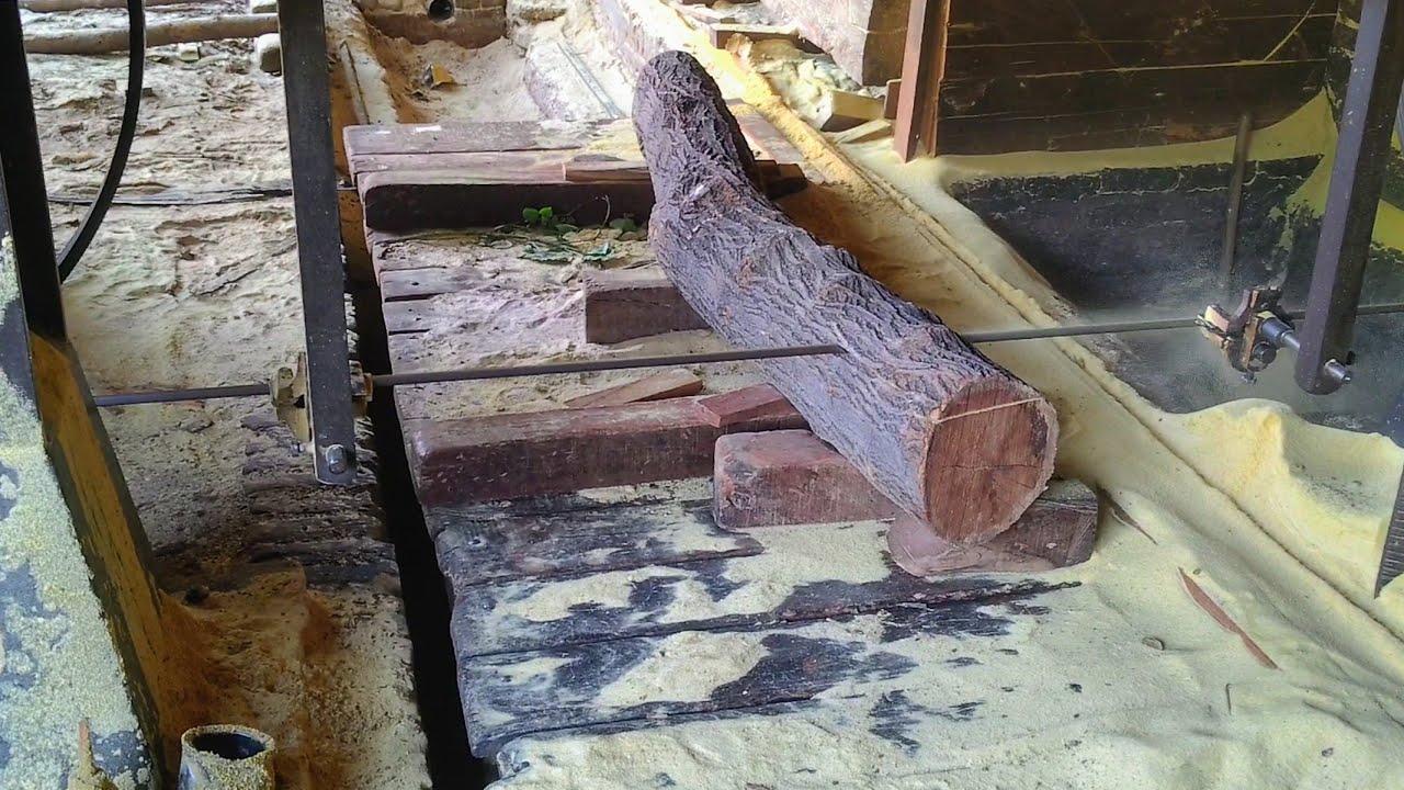Woodworking Sawmill Cutting Log | Sawmill Log Cutting - YouTube