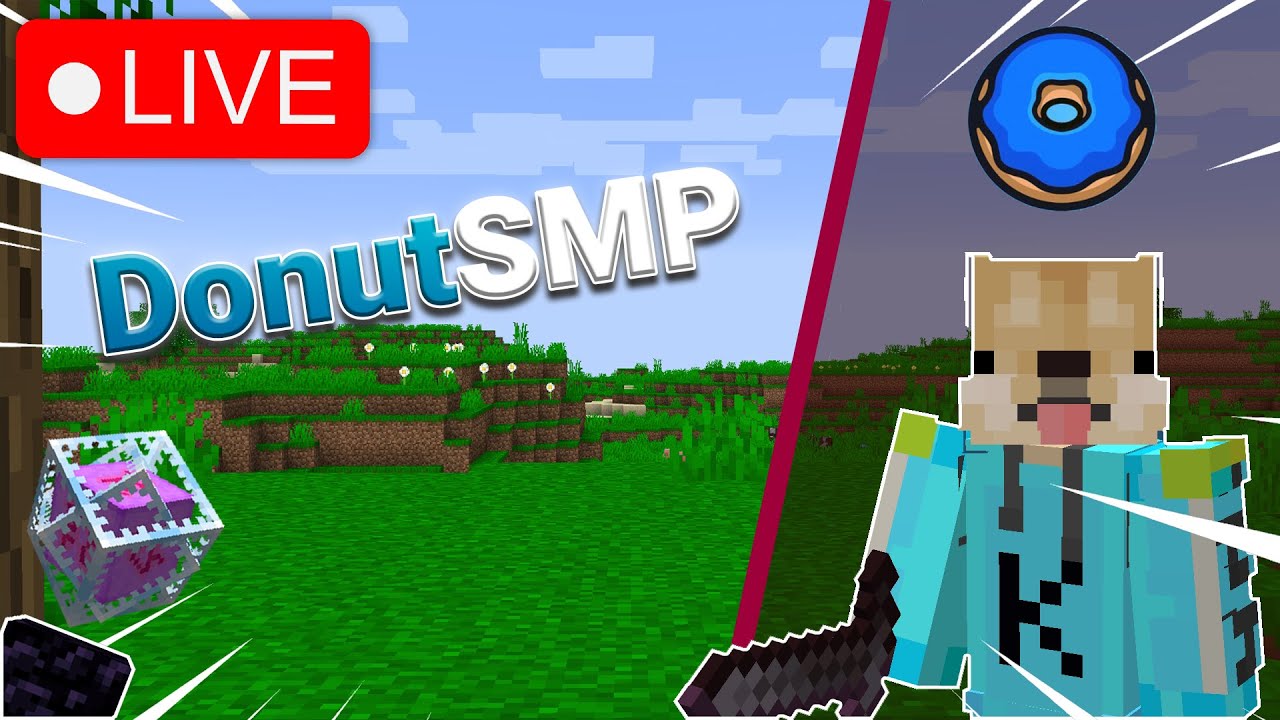Donut SMP - Crystal PvP Live Stream - YouTube