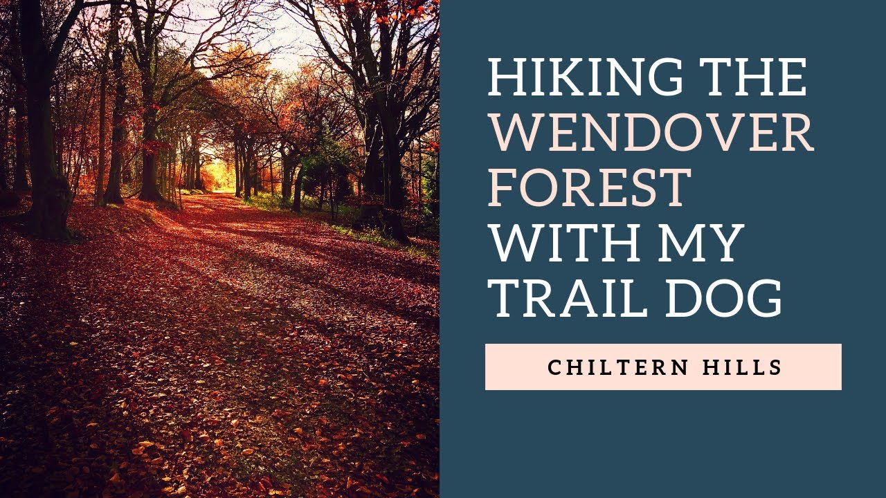 Hiking The INCREDIBLE WENDOVER FOREST TRAIL With My Trail Dog ...