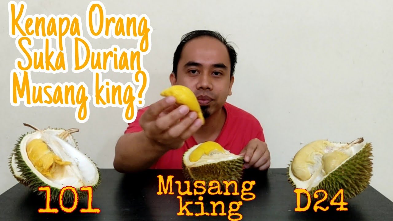 Beza Durian Musang King Vs Durian D24 Vs Durian 101 - YouTube
