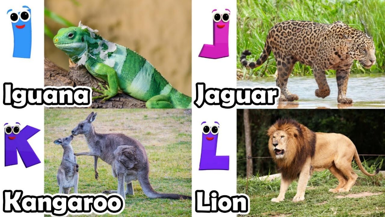 ABC Real Animals song | Alphabets Kids song | Learn Alphabets, English ...