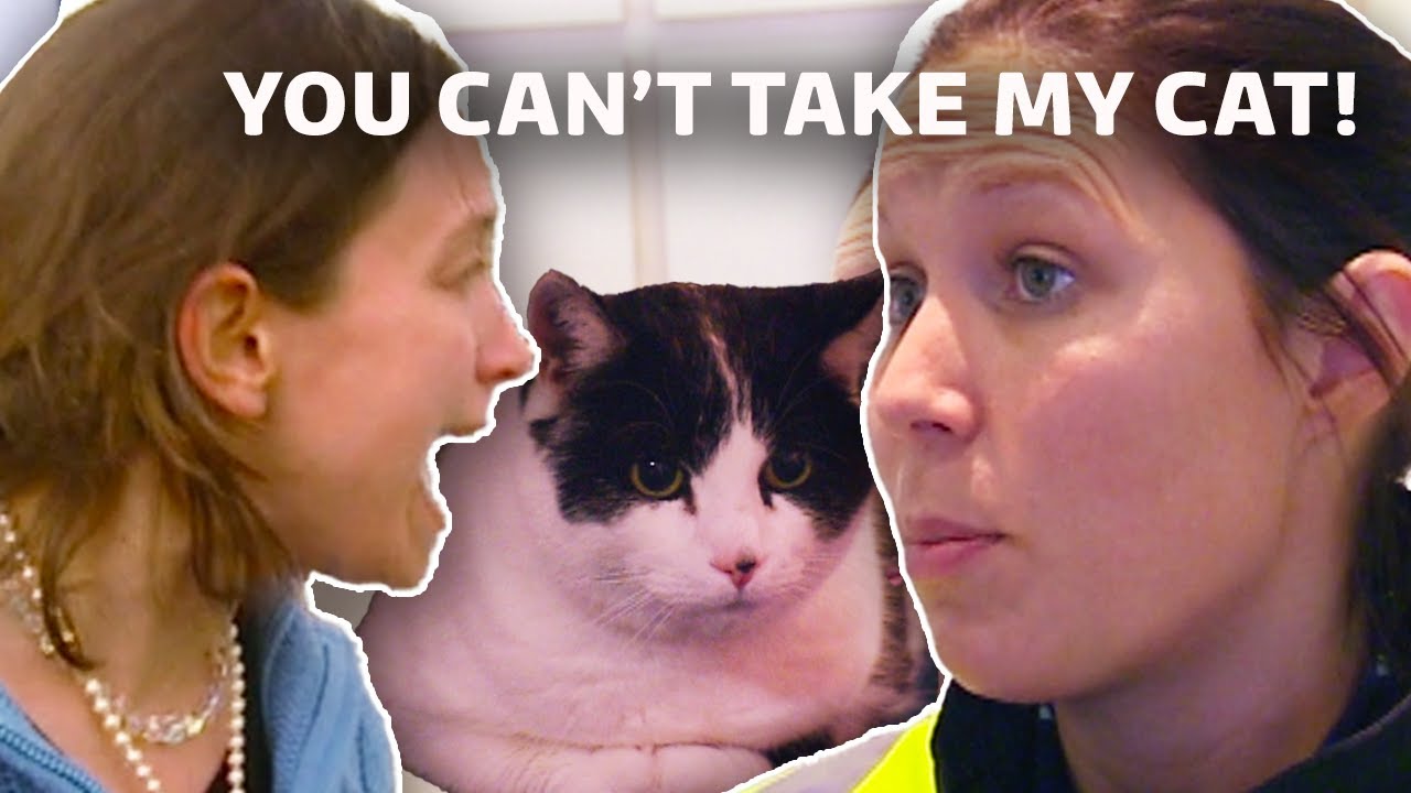 Woman Tries To Smuggle Cat In Hand Luggage | Airline S7 E3 | Our ...