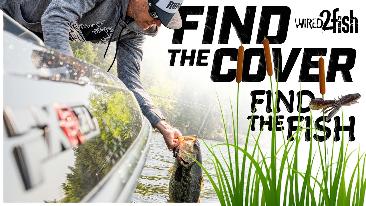 Uncovering The Best Post-spawn Bass Fishing Spots - YouTube