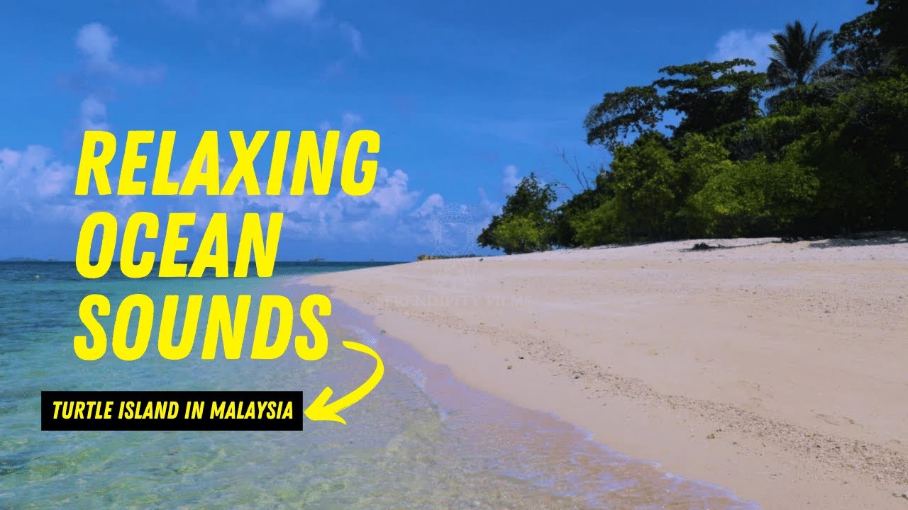 Relaxing Ocean Sounds | Ocean Sounds For Relaxation, Sleep, Meditation ...