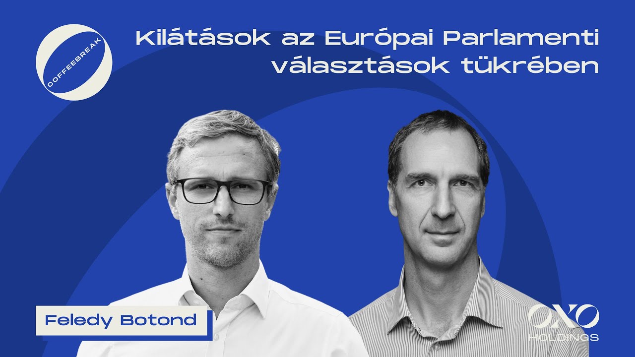 Feledy Botond - Kilátások az Európai Parlamenti választások tükrében ...