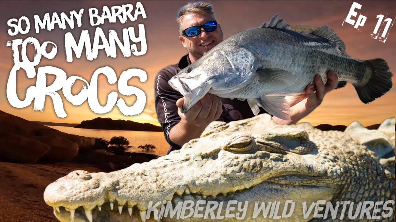 Ep11 So many barra, too many crocs! What it's really like Kimberley ...