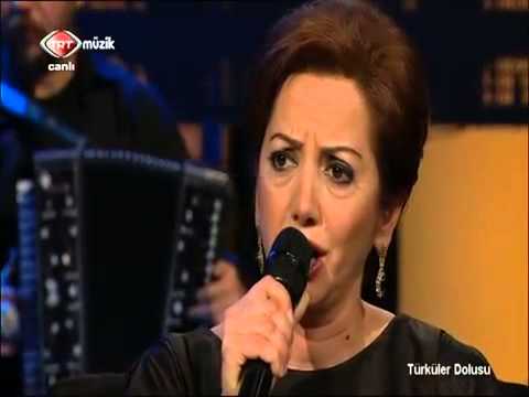 Dut Fidanı Boyunca (Aysun Gültekin sunumu)