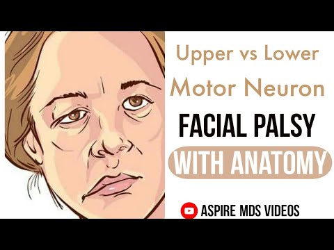 Facial Palsy | Upper vs Lower Motor Neuron | Facial Nerve Anatomy | Dr ...