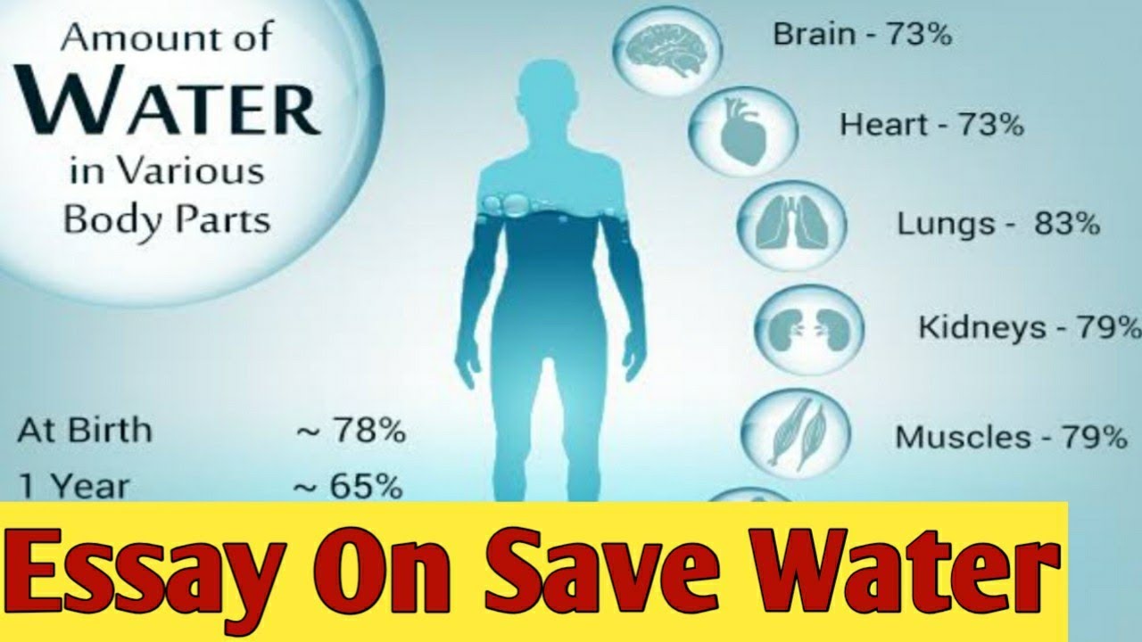 Essay On Importance Of Water In English#15_Lines_On_Importance_Of_Water ...