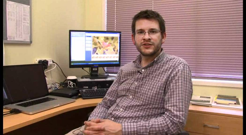 Plant & Food Research's David Pattemore - YouTube