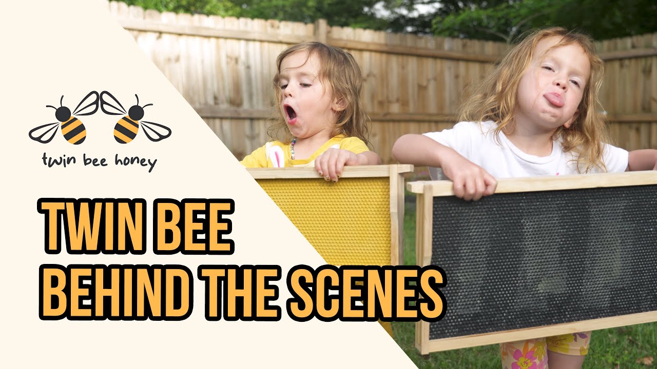 Twin Bees Behind the Scenes: Pieces of a Langstroth Hive - YouTube