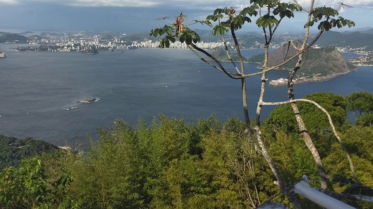 Rio 2021(3) - YouTube