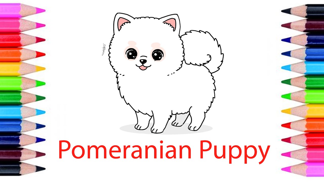 How to Draw Cute Pomeranian Puppy Drawing | Ea Drawing for Kids # ...