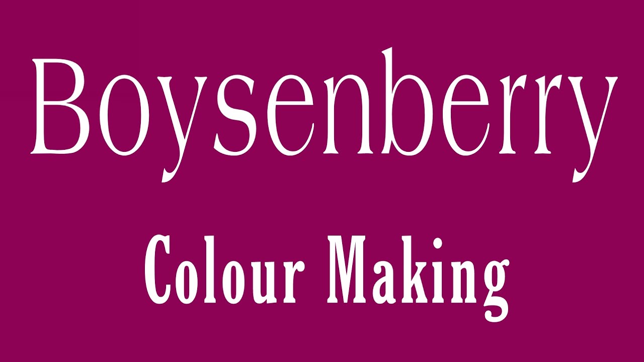 How To Make Boysenberry Colour | Acrylic Colour Mixing | Colour Making ...