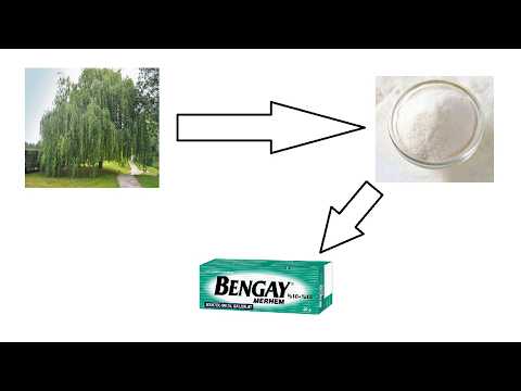Ağaçtan Ağrı Kremine (Salisilik Asit)