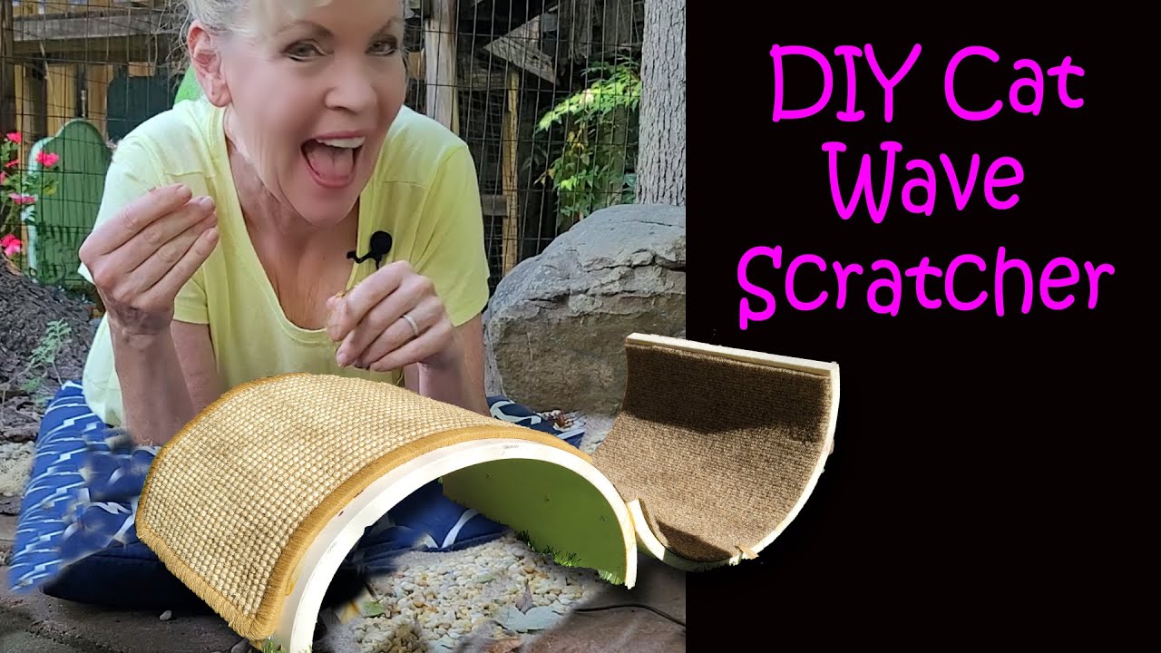 DIY Cat Scratcher TOY - Stands the Test of Time 🐾 - YouTube