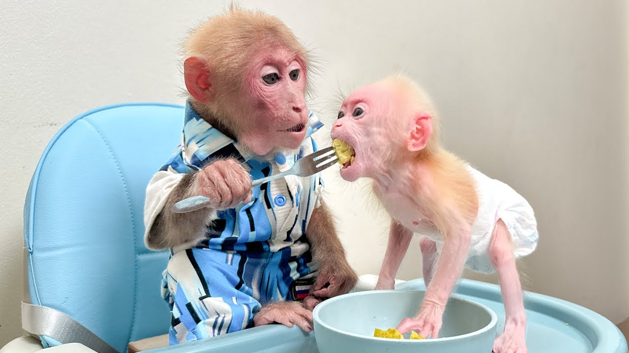Bibi wakes up early to brush teeth, wash face and prepare breakfast for ...