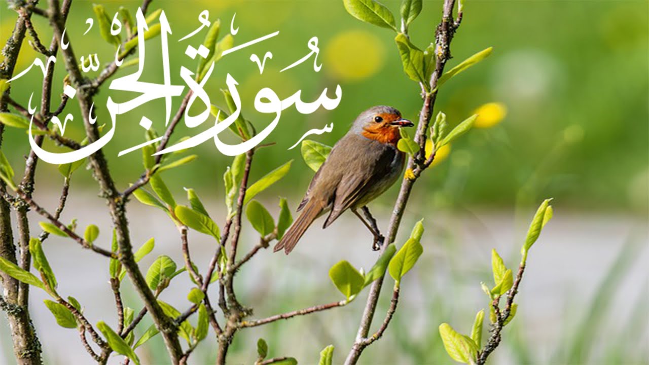 Surah No 72 AL-JINN - The Jinn | Recitation of Holy Quran - YouTube