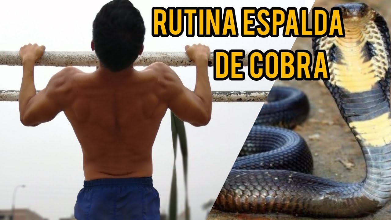 Rutina brutal para una espalda de cobra - intermedios y avanzados - YouTube