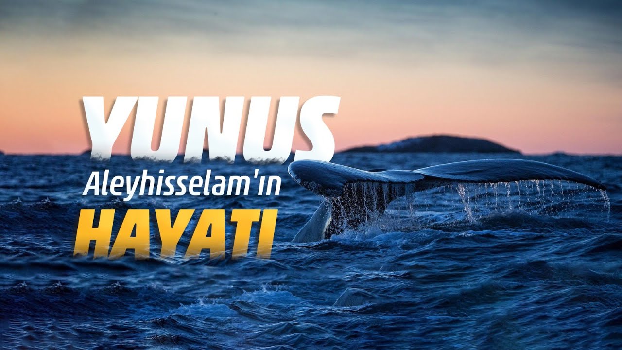 HZ. YUNUS’UN (A.S.) HAYATI | Yunus Peygamber’in Hayatı | Kuran'da Geçen ...