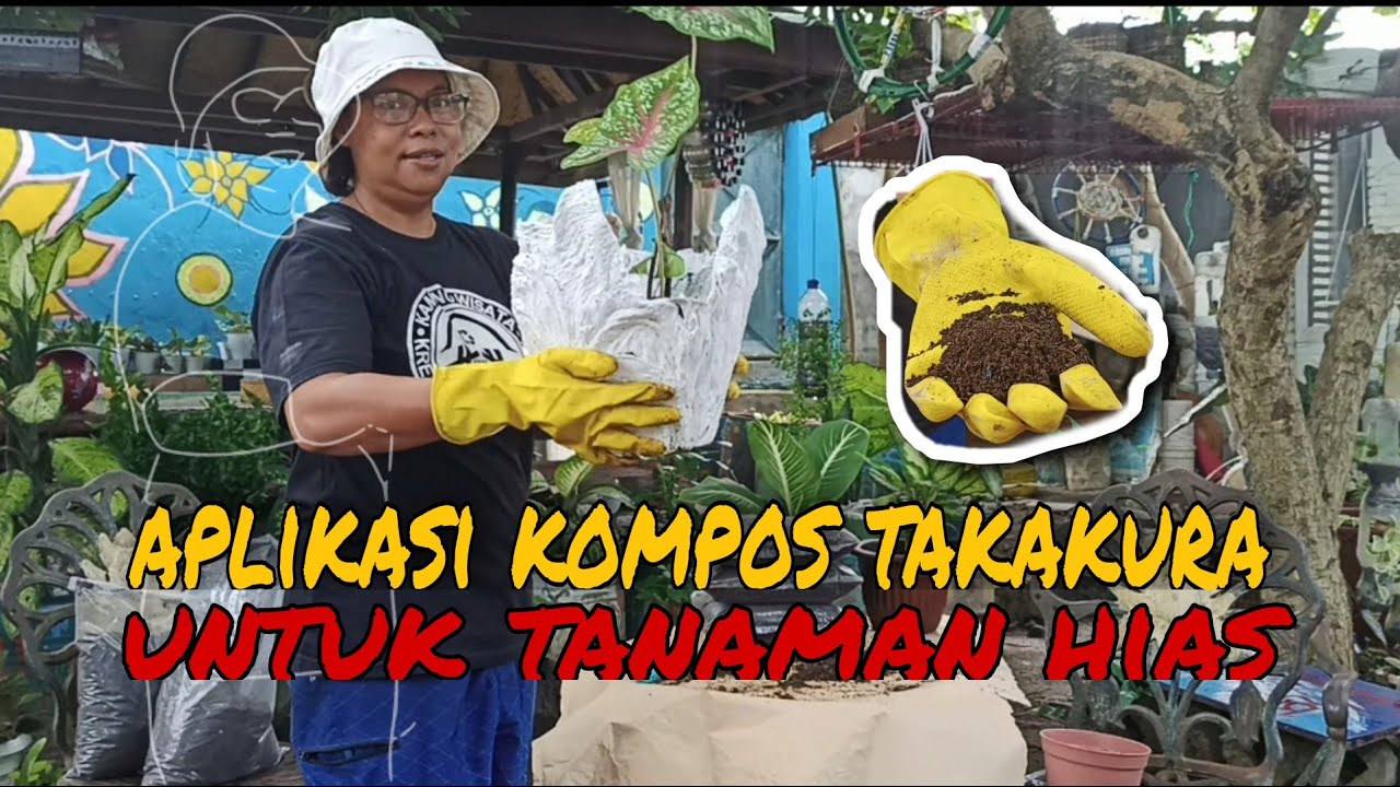 TUTORIAL APLIKASI PUPUK TAKAKURA UNTUK TANAMAN - YouTube