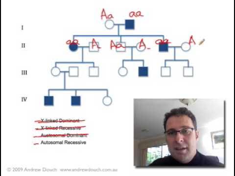 Pedigree Analysis 1: How to solve a genetic pedigree No. 1 - YouTube