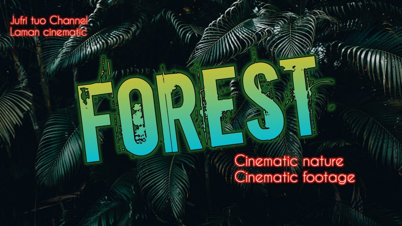 Cinematic forest | instrumen musik nuansa hutan | cinematic footage ...