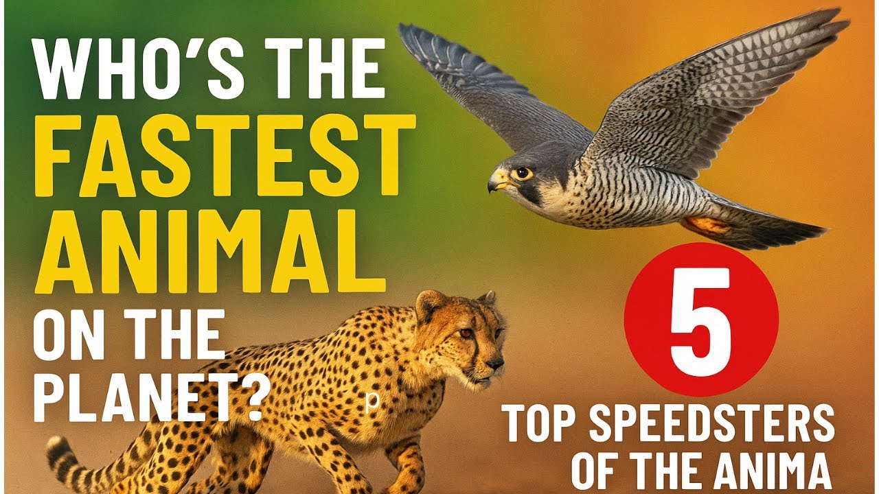 Top 5 Fastest Animals on Earth – Who Takes the Crown? - YouTube
