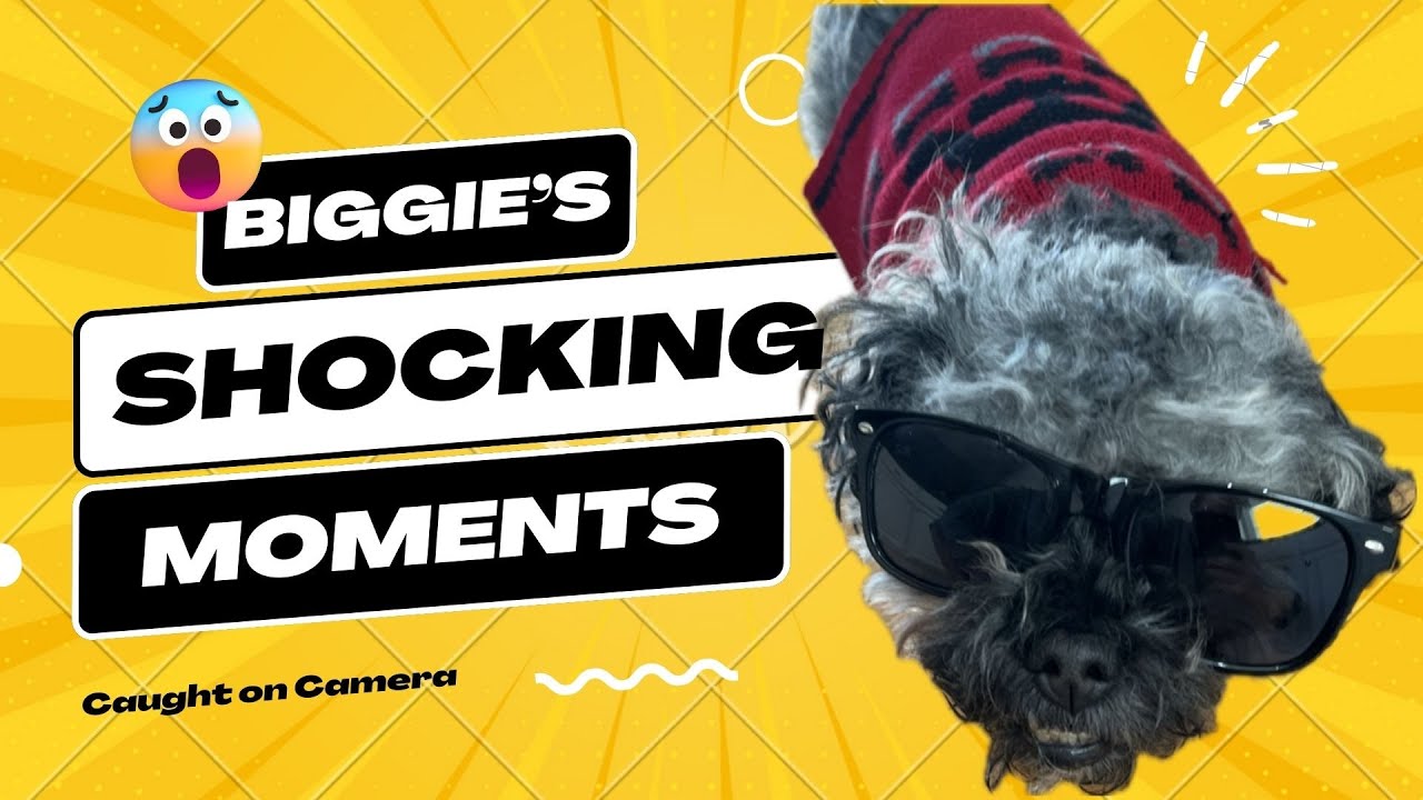 Biggie Movie "The Squeak" - YouTube