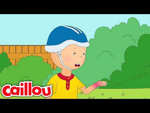Kaykaycı Caillou | Çocuklar için çizgi filmler | Caillou Türkçe