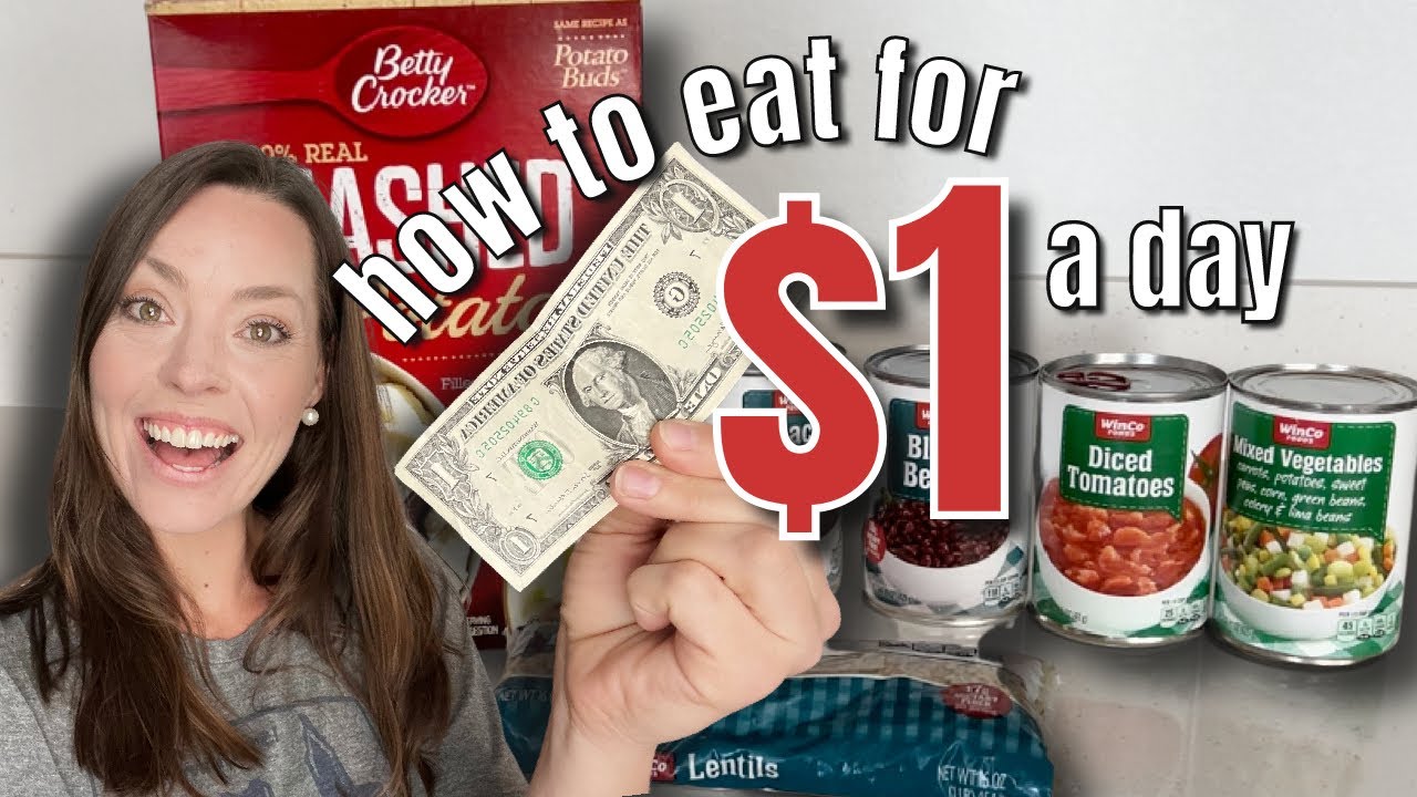 HOW TO EAT FOR $1 A DAY (full week) 2023 | Extreme Budget Week of Food ...