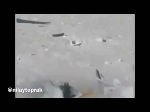 Nilay toprak bana götünü dönme vine :)