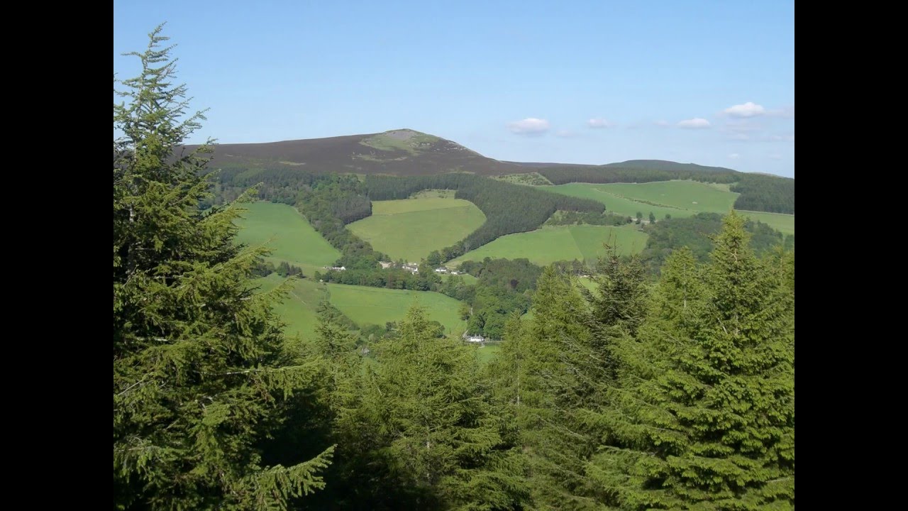 Tweed Valley Forest Park, Cardrona, Scotland - YouTube