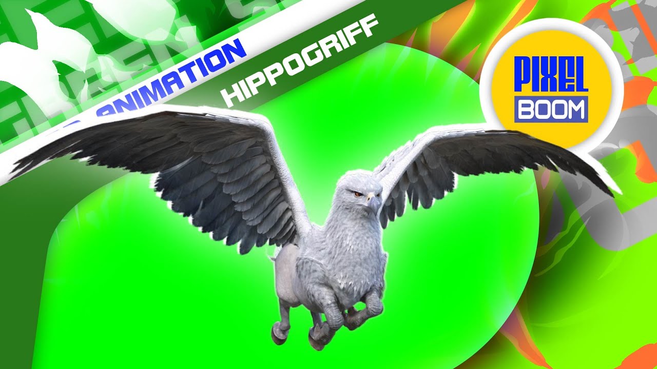 Green Screen Hippogriff Mythological Creature 3D Animation PixelBoom ...